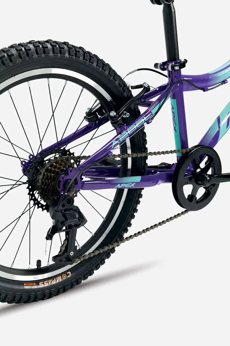 APEX A200L Girls 20 Inch Mountain Bike – All Mountain Co.